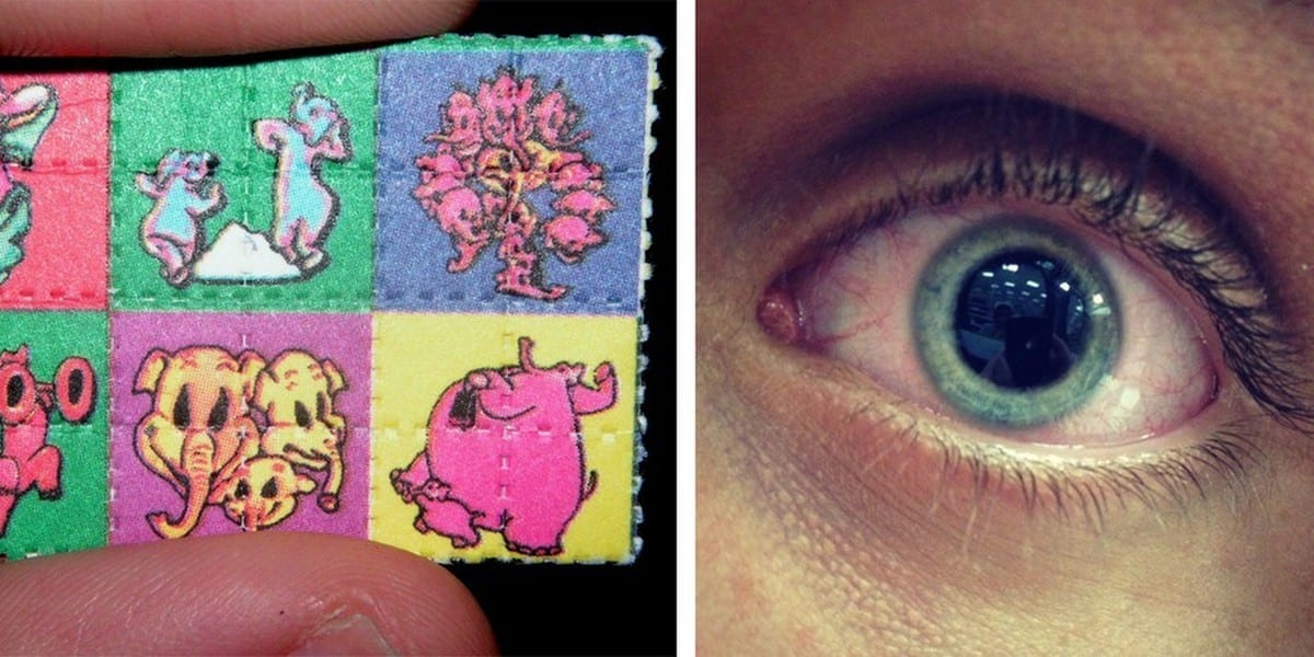 Historia del LSD desde sus inicios en 1938 | CITA